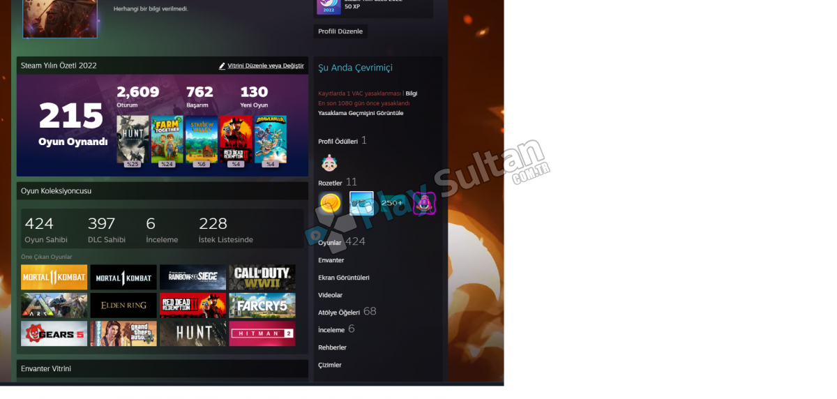 427 ADET OYUN + STEAM HESABI +ORIGIN HESABI+EPIC GAMES HESABI HEDIYE ...