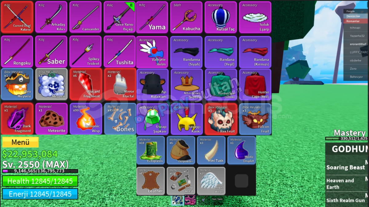 Blox fruit max hesap + Godhuman Buy and Prices